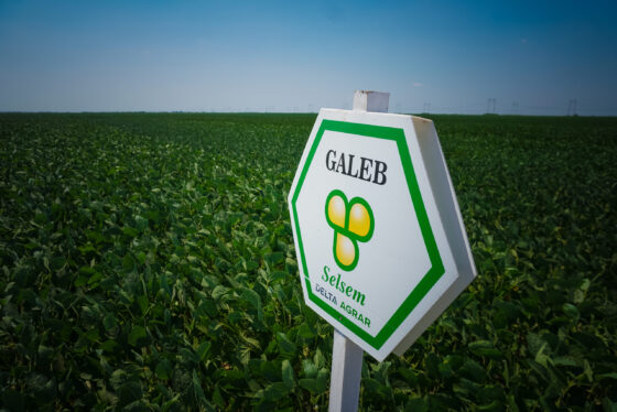 Zašto sejati sertifikovano seme soje - Delta Agrar | Agro Info Net