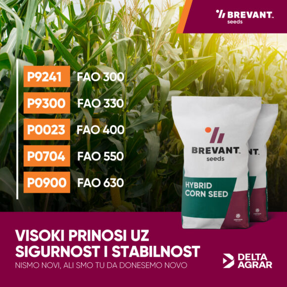 Brevant hibridi – seme jače od suše i štetočina - Agro Info Net